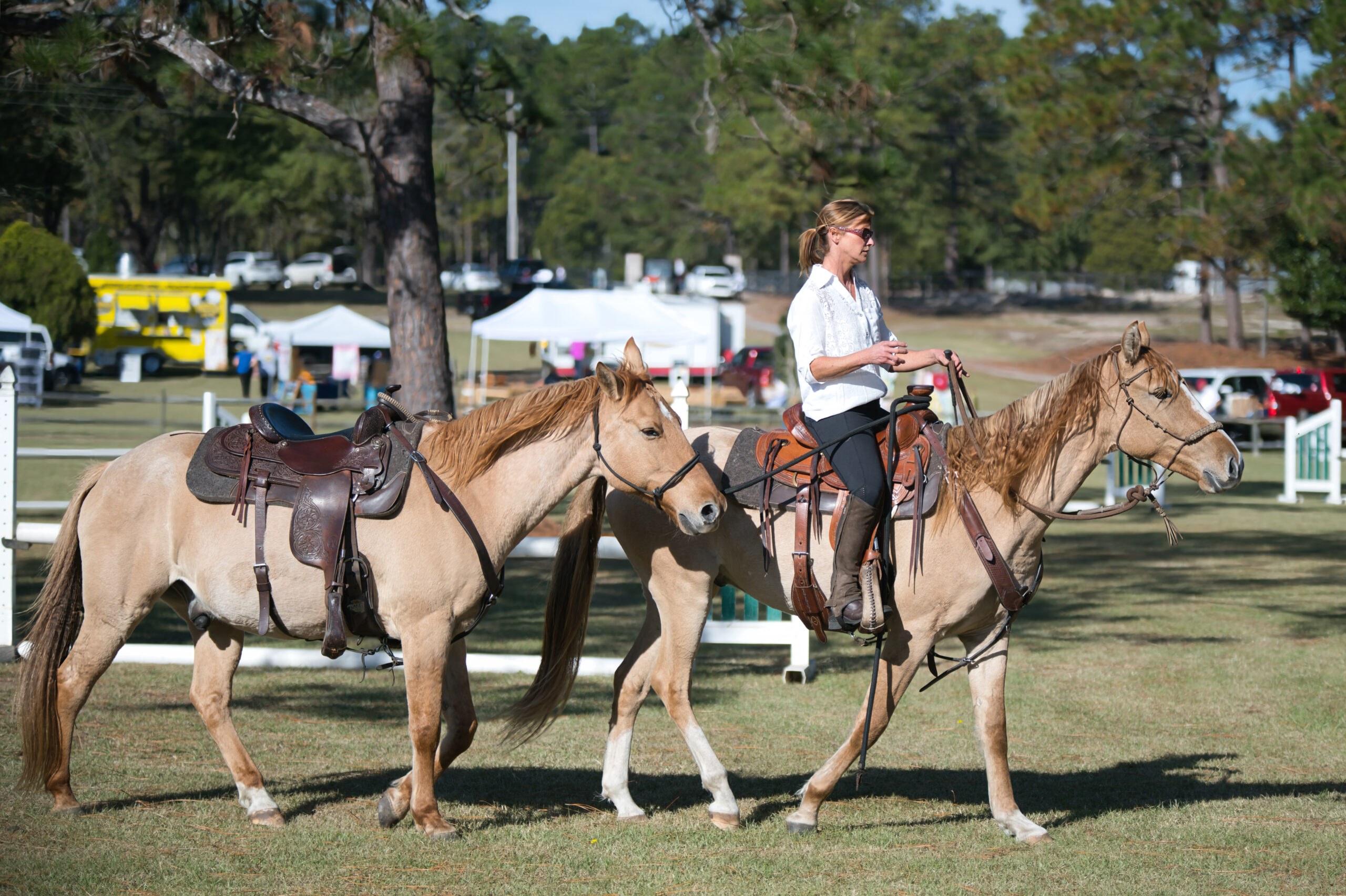 Carolina Marsh Tacky Association - Camden Horse & Hound